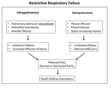 Sys Path Respiratory S Flashcards Quizlet