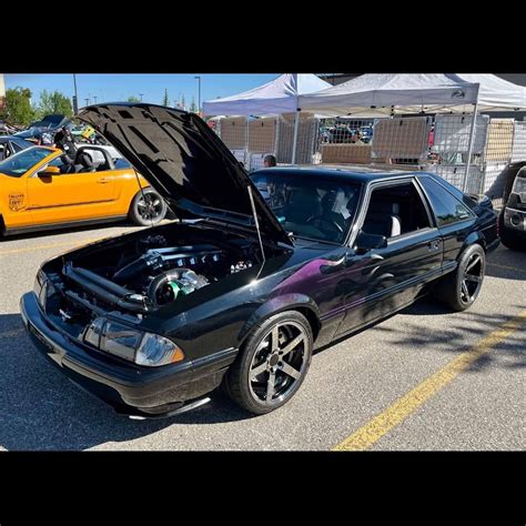 Foxbodynation4life Added A New Photo Foxbodynation4life