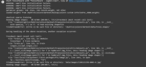 Shapefile Issue TNTWEN Pruned OpenVINO YOLO GitHub