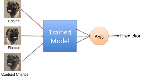 Test Time Augmentation