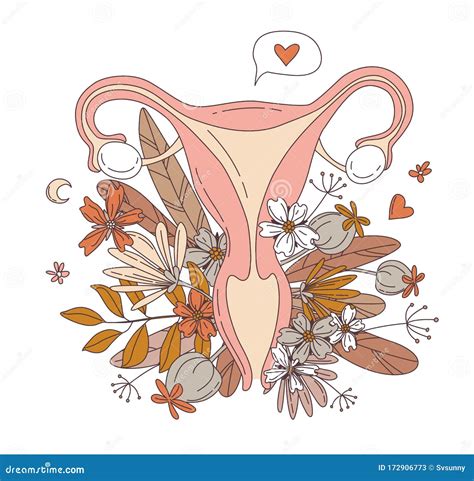 Free Vector Female Reproductive System With Flowers U