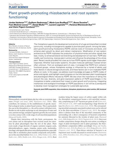 Pdf Plant Growth Promoting Rhizobacteria And Root System Functioning