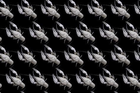 검은 색 배경에 가재와 매끄러운 패턴 끝없는 가재 질감 래스터 일러스트레이션 갈고리 발톱에 대한 스톡 사진 및 기타 이미지