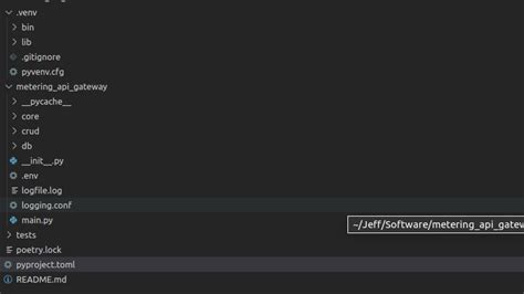 Fastapi Run With Poetry With Env File Have Conflict With Python Dotenv