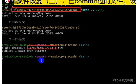 Git的常用命令及还原文件的指定版本，及分支管理
