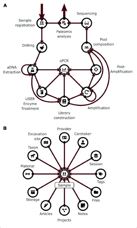 a pipeline backbone graph showing the flow of experimental data