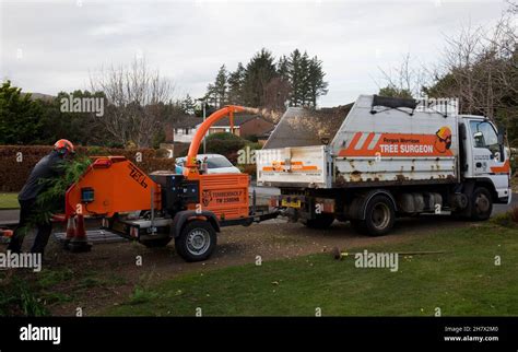 Tree Surgeons At Work Stock Photo Alamy