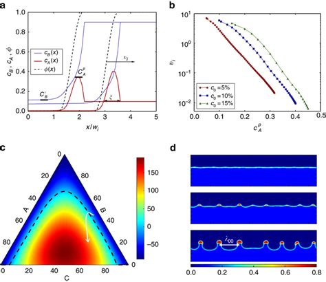Interfacial Spinodal Decomposition A Evolution Of The Concentration