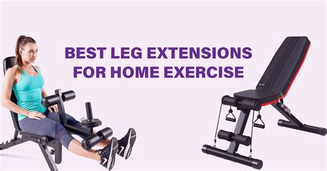 Leg Extension Machine At Home At Skye Kinsella Blog