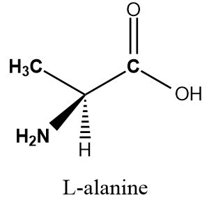 Alanine Structure