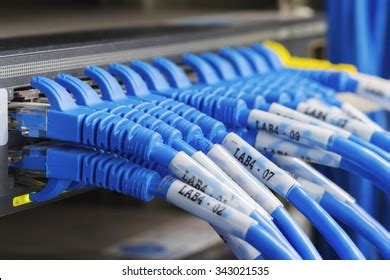 Lan Cable Connected Switch Stock Photo Shutterstock