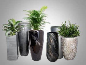 Купить кашпо низким ценам в интернет магазине Кашпо | Летостудия