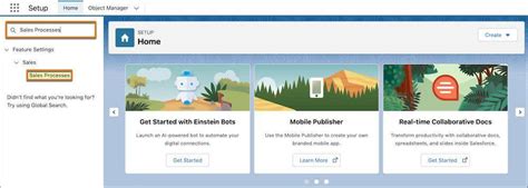 Optimizing Salesforce Opportunity Stages Salesforce Trailhead