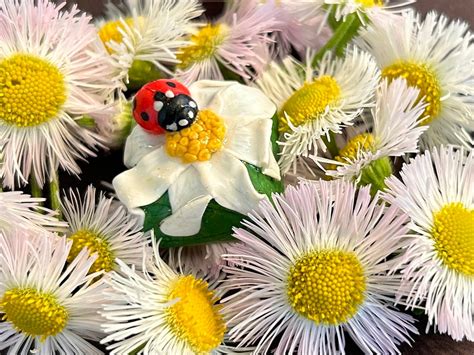 Ladybug Daisy Keycap Etsy
