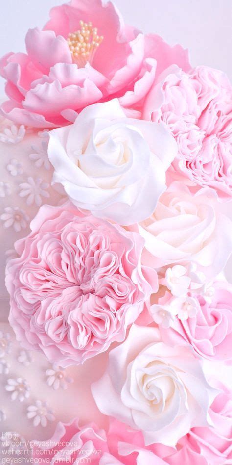 180 Pink Screensavers Ideas Pink Wallpaper Pink Wallpaper Iphone