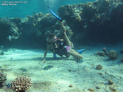 Nikky Thorne Spreading Pussy And Scuba Diving Porn Pictures Xxx Photos Sex Images 2974137