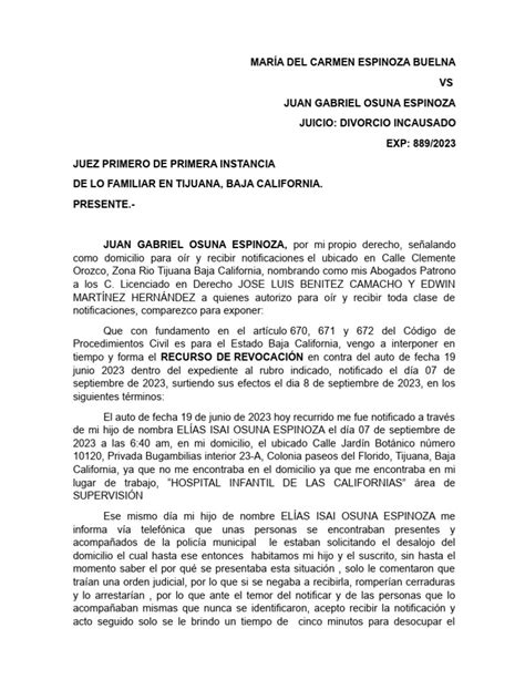 Recurso De Revocacion Constra Medida Provisional Pdf Constitución