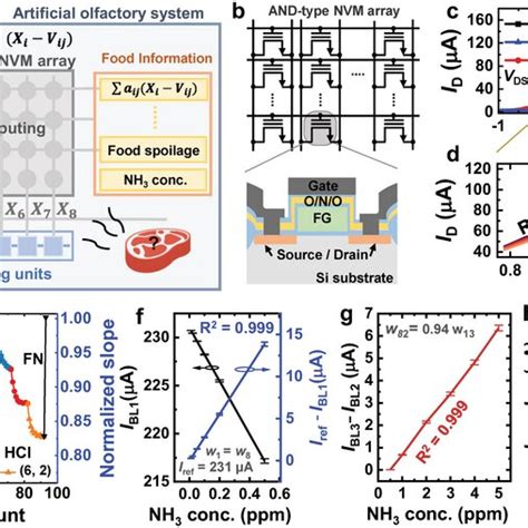 Design Of The Fabricated Artificial Olfactory System A Optical