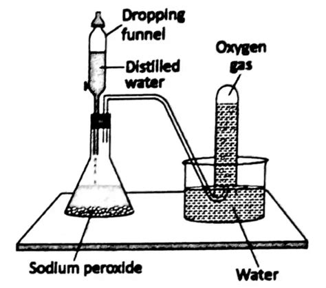 For Class 8 School Science Chapter 3 Some Common Gases Laboratory