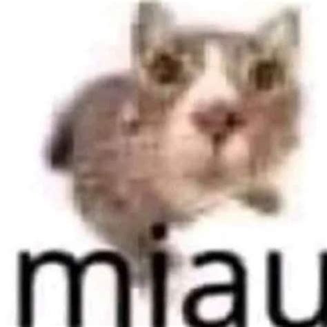 Meow Meme Subido Por Mauriciolescano Memedroid