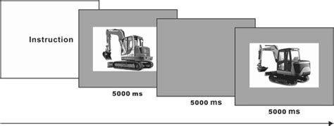 Eye Tracking Experiment Procedure Download Scientific Diagram