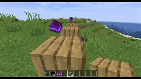 Snapshot 20w14infinite