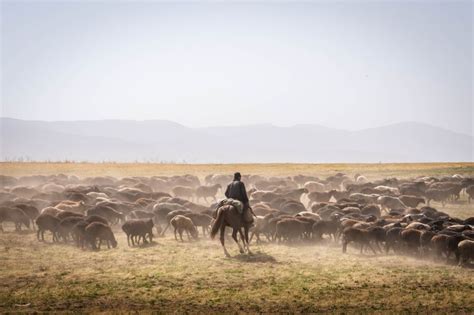 Antoine Bouchina On Linkedin Mieux Vaut Tard Que Jamais Cest Lheure De Faire Ma Retrospective