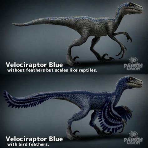 Velociraptor Feathers Jurassic Park
