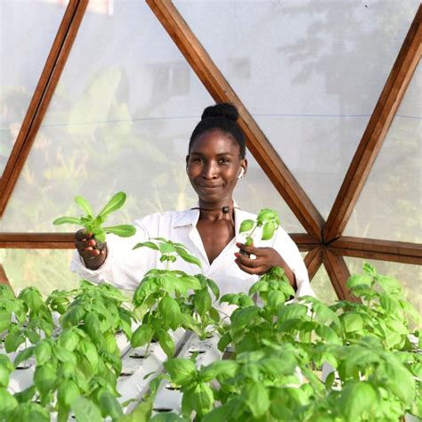 Ian Ó Ceallaigh Posted On Linkedin