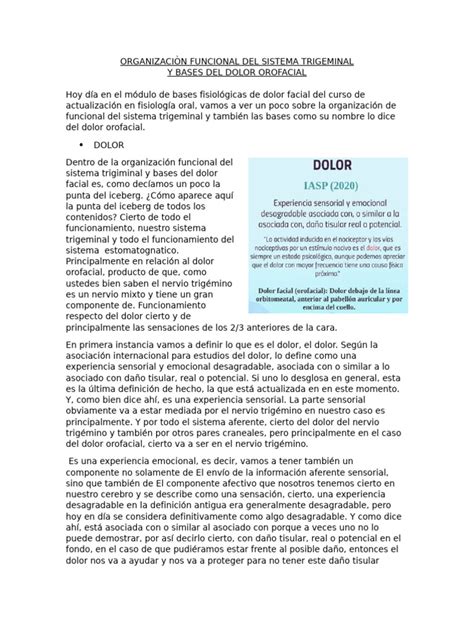 Organizaciòn Funcional Del Sistema Trigeminal Pdf Dolor Cerebro