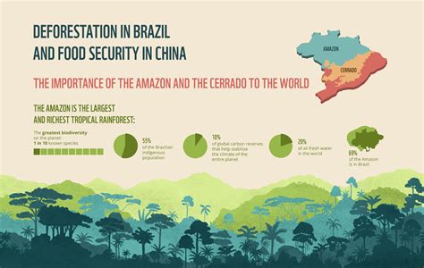 Deforestation In Brazil Wwf Brasil Behance