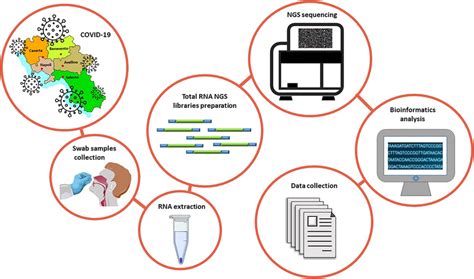Experimental Workflow Summary Of The Experimental Workflow Applied To