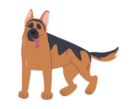 120 Funny German Shepherd Clip Art Stock Illustrations Royalty Free