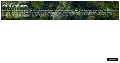 Vue Cloudimage Responsive Example Codesandbox