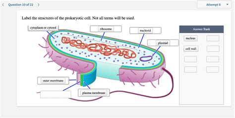 Solved Label The Structures Of The Prokaryotic Cell Not All Chegg