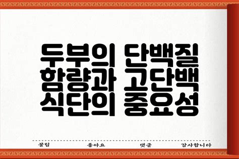 두부보다 단백질이 더 풍부한 음식 7가지 건강한 고단백 식단을 위한 완벽 가이드