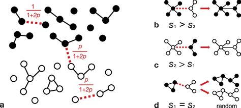 Schematic Illustrations Of The Dynamic Rule Of The TCA Model A There Download Scientific