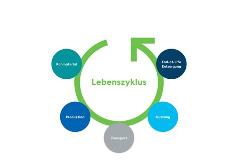 Life Cycle Assessment Röchling DE