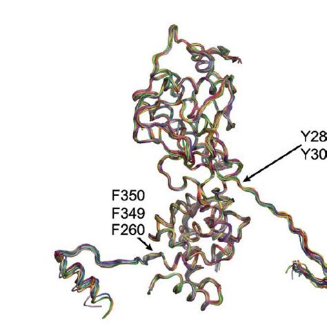 Pdf Crystal Structure Of The Rabies Virus Nucleoprotein Rna Complex