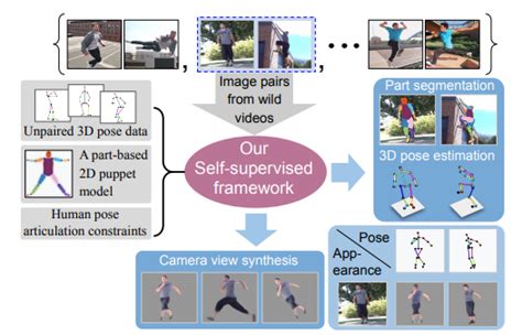 cvpr 2020 论文大盘点 人体姿态估计与动作捕捉篇 csdn博客