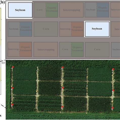 Empirical Line Method Illumination Correction Curve Based On Reference