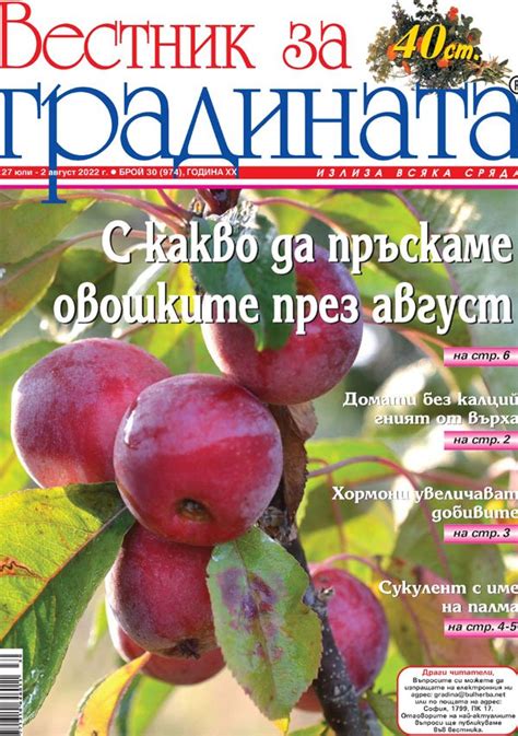 Recepty Bg Вестник за градината бр 30 Излиза на 27 юли сряда в броя Смокиня ЧЕРНОМОРСКА