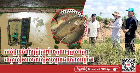 កសិដ្ឋានចិញ្ចឹមត្រីក្រាញ់លក្ខណៈគ្រួសារក្នុងខេត្តសៀមរាបចាប់ផ្តើមប្រមូលផល