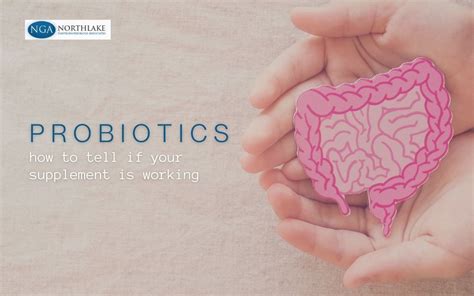 Signs Your Probiotics Are Working Northlake Gastro La