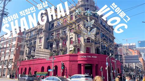 Shanghai Vlog 상하이 직장인 일상 브이로그 상해citywalk 상하이 맛집 카페 양궁체험 중국요리 상하이