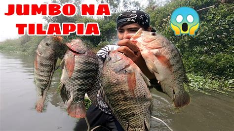 Wow Nakakagulat Ang Mga Nakapa Ko Na Tilapia Sa Ilog Ng Taiwan Anlalaki Pulang Pula 😱 Wow