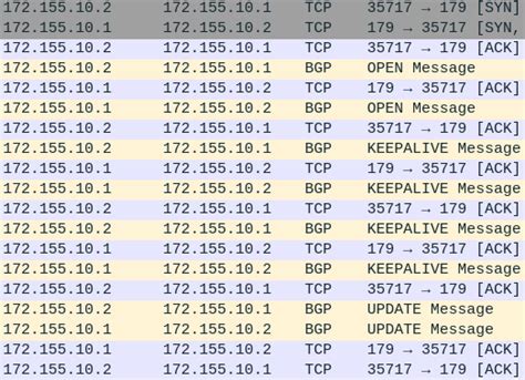dynamic networking border gateway protocol mastering enterprise