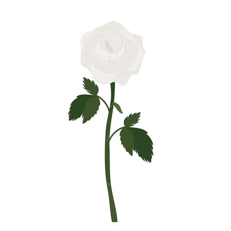 一輪の白い薔薇ばらバラの フリー イラスト 商用フリー 無料 のイラスト素材ならイラストマンション