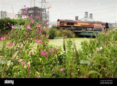 Db Cargo Class 66 Loco 66095 Hauling The 1215 Immingham Biomass To Drax
