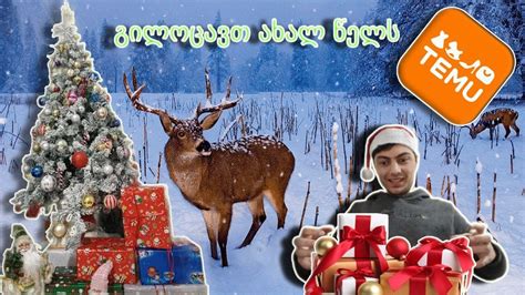 ნაძვის ხე ტემუდააან 😶‍🌫️ საახალწლო ვიდეო Youtube